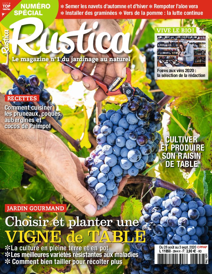Rustica N°2644 du 28 août 2020 à télécharger sur iPad