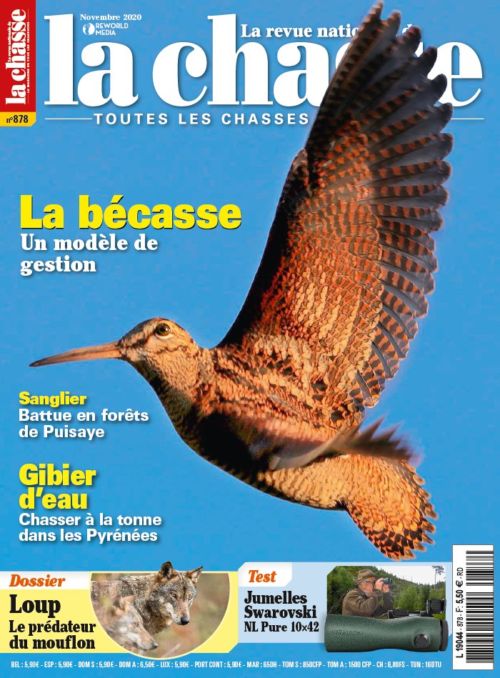 La Revue Nationale de la Chasse N°878 du 20 octobre 2020 à télécharger ...