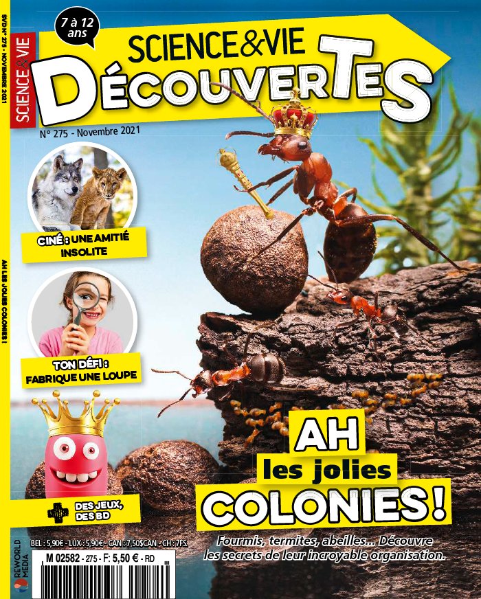 Science Et Vie Découvertes N°275 Du 13 Octobre 2021 à Télécharger Sur Ipad
