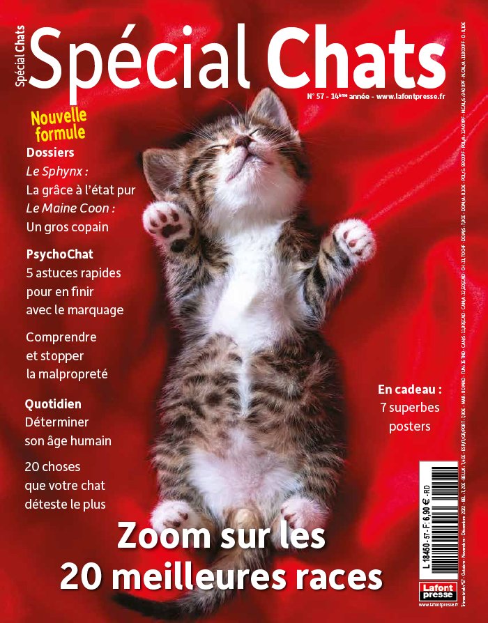 Spécial chats N°57 du 14 septembre 2022 à télécharger sur iPad
